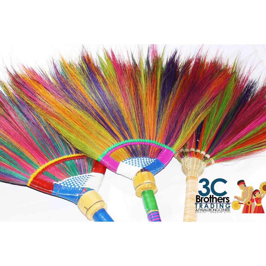 Rainbow Colorful Baguio Walis Tambo Soft Broom | Shopee Philippines