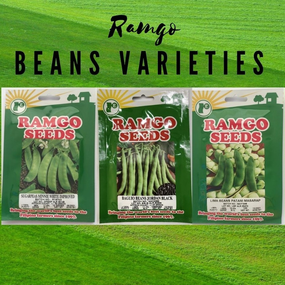 Ramgo BEAN Varieties Pouch Sugarpeas - Patani Baguio Beans Lima Beans ...