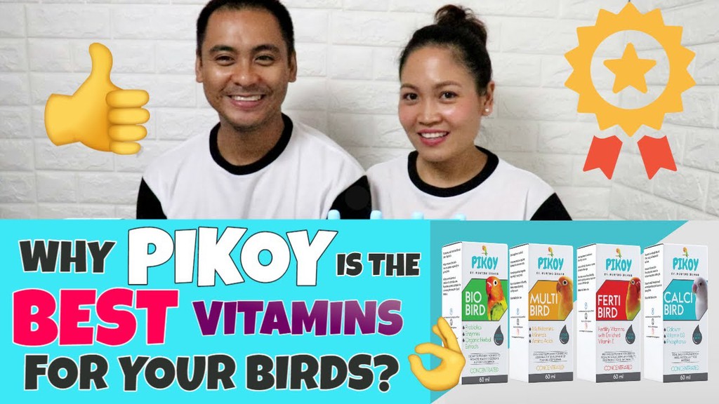 PIKOY by Munting Ibunan, Online Shop | Shopee Philippines