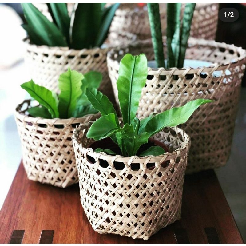 Rattan Buri Stick Baskets/ Planters | Shopee Philippines