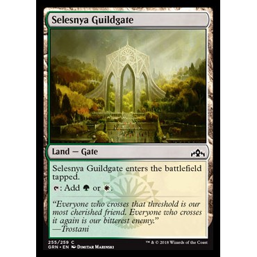 Magic the Gathering : Selesnya Guildgate - GRN Near Mint - MTG Non ...