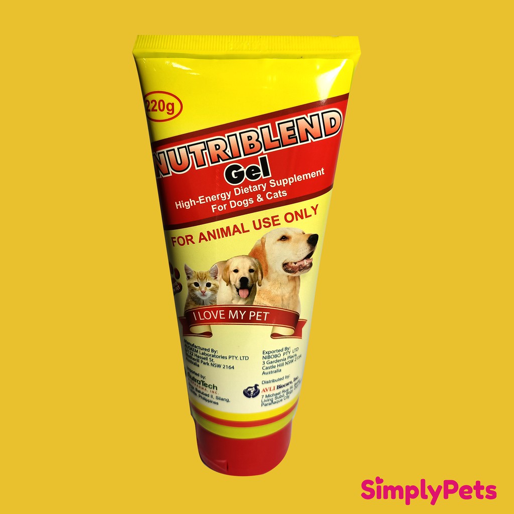 Why Is My Dogs Ph High