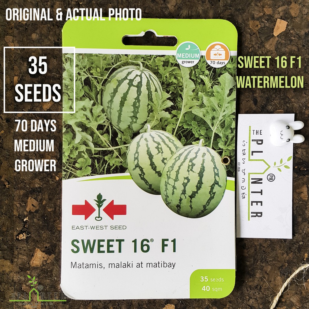WATERMELON SWEET 16 F1 / PAKWAN - EAST - WEST SEED (Original) | Shopee ...