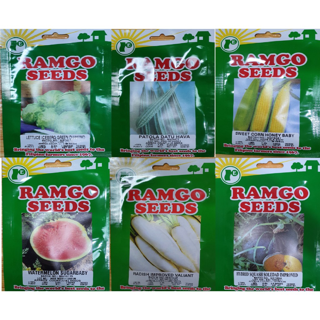 27 KINDS Chives Upo Watermelon Tomato Eggplant Kangkong Pechay Sili ...