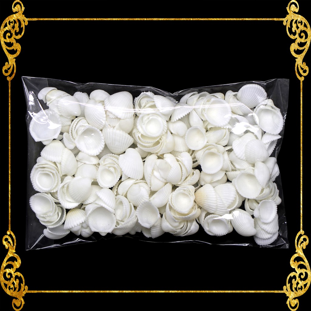 Tingi Pack | Clamrose | Anadara Pilula | Tiny | Shopee Philippines