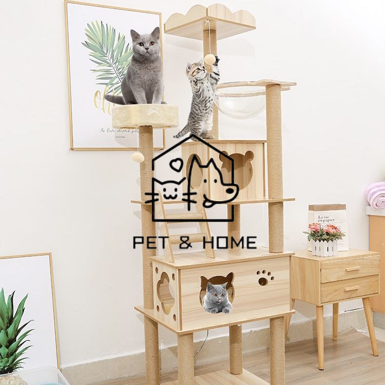 Solid Wood Cat Climbing Frame Space Capsule Nest Cat Tree Tower Pet ...
