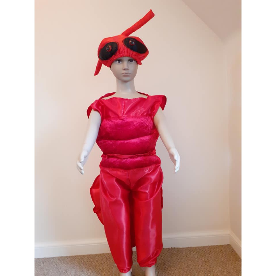 Ant Animal Kids Costume | Shopee Philippines