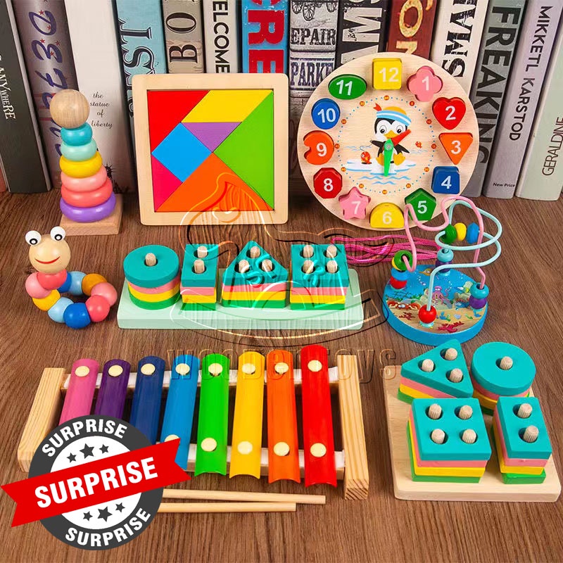 SULIT COMBO SET wooden Education toys Montessori Cognitive Matching and ...