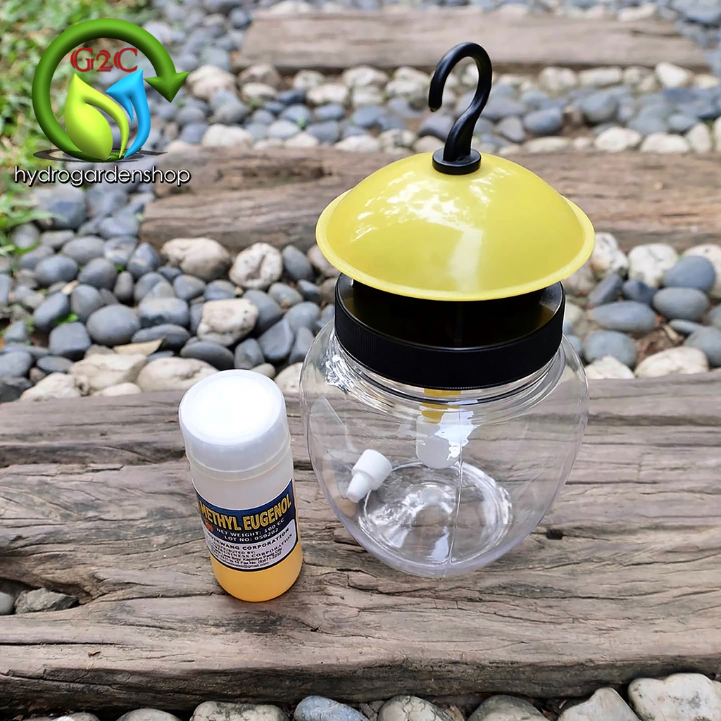 Fruit Fly Trap only (add Methyl Eugenol) | Shopee Philippines