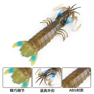 Simulation Solid Marine Life Animal Model Pipi Shrimp Mantis Shrimp ...