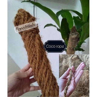 Buy Home & Living Products Online at Great Prices | Shopee Philippines