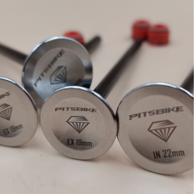 PITSBIKE ENGINE VALVE KIT( DUAL ANGLE) | Shopee Philippines