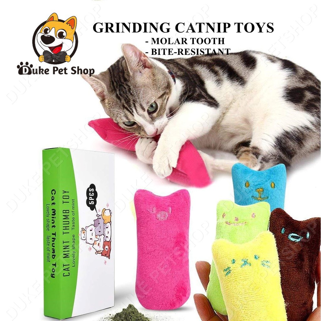 Teeth Grinding Catnip Toys Funny Interactive Plush Cat Toy Pet Kitten ...