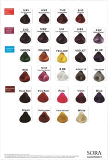 Sora Hair Color Dye 100ml (Color Only) | Shopee Philippines