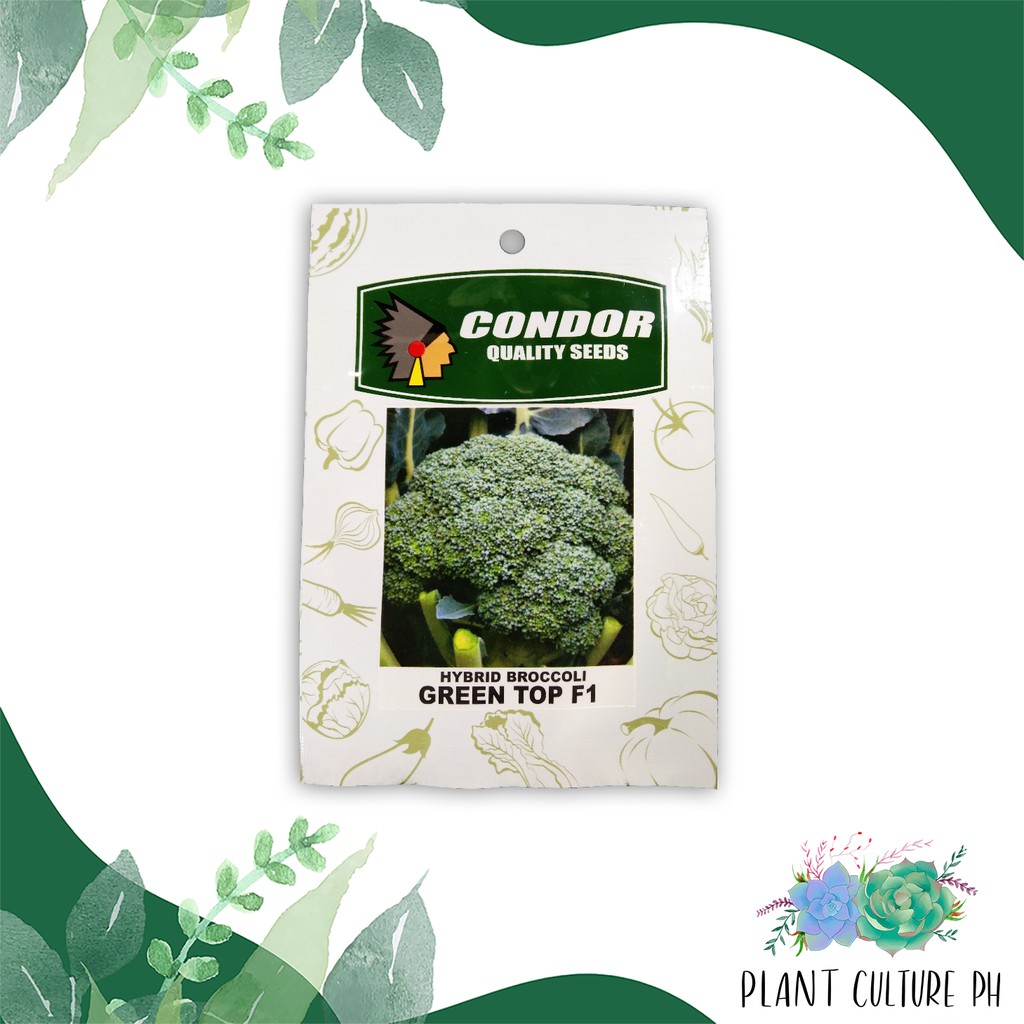 Condor Quality Seeds Hybrid Broccoli Green Top F1 0.5G | Shopee Philippines