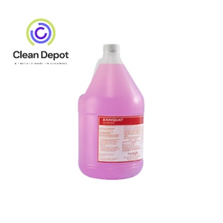 Kalinisan Saniquat Disinfectant 1 Gallon | Shopee Philippines
