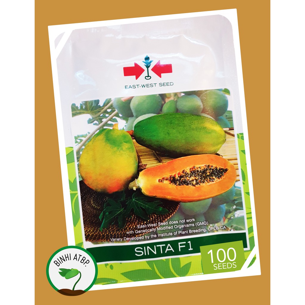 East-west Sinta F1 Papaya Seeds (100 Seeds Pack) | Shopee Philippines
