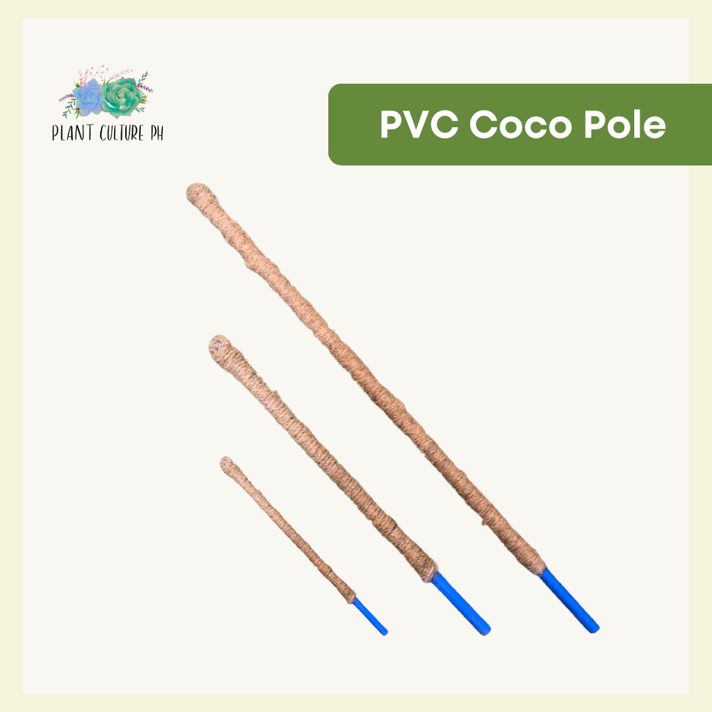 Sturdy Coco Pole for Trailing Plants like Pothos, Monstera, and ...
