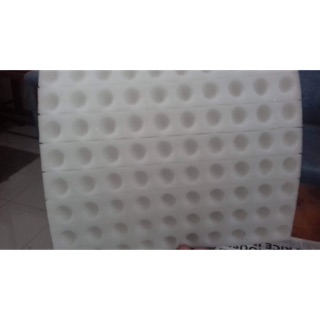 Horticultural Foam.. | Shopee Philippines
