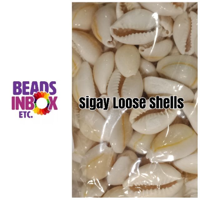 Sigay / Batad Loose Shells | Shopee Philippines