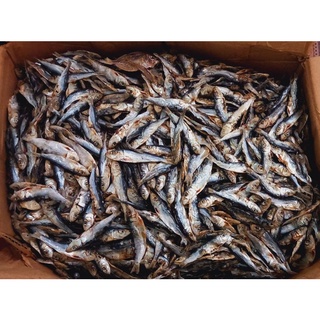 lupoy fish - Best Prices and Online Promos - Jan 2023 | Shopee Philippines