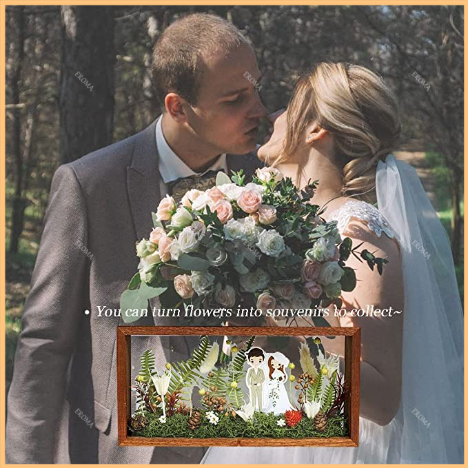 Wooden Double-Sided Acrylic Storage Box, DIY Display Box, Suitable for ...