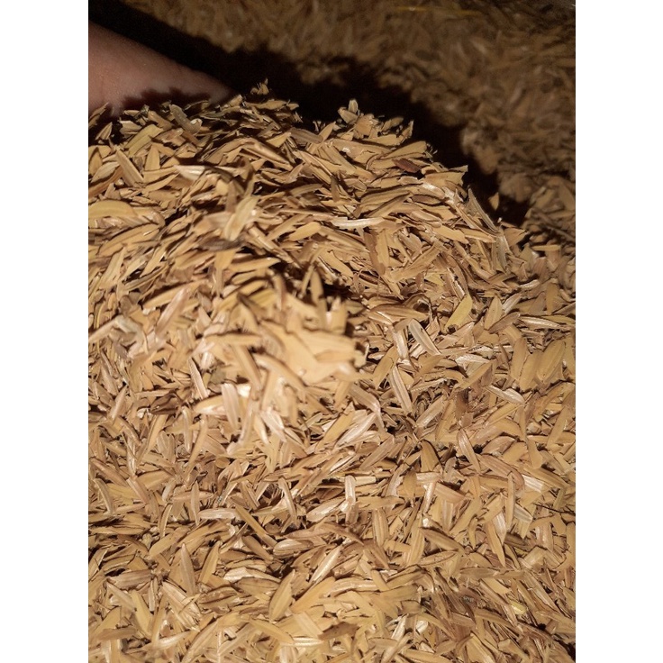 1000g Pure and organic rice hull / rice husk / ipa ng palay / palayan ...