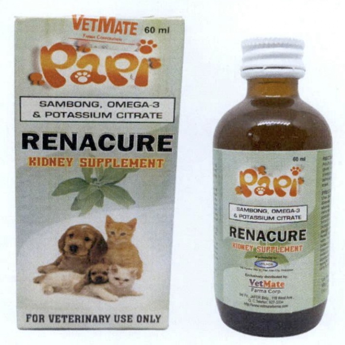 Papi Renacure Kidney Supplement (Sambong, Omega-3, Potassium Citrate ...