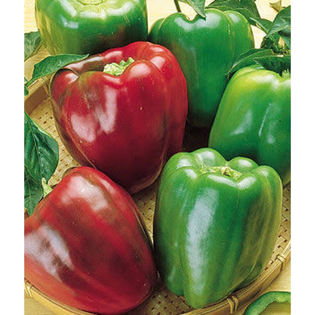 Large (Giant) bell pepper seeds | Shopee Philippines