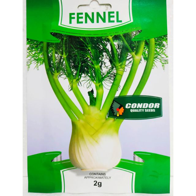 FENNEL 2 GRAMS 600 SEEDS PACK | Shopee Philippines