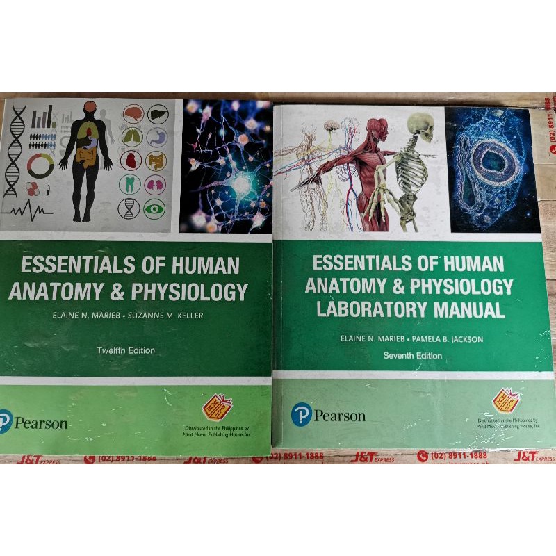 Essential Of Human Anatomy And Physiology 12th Edition By Elaine N