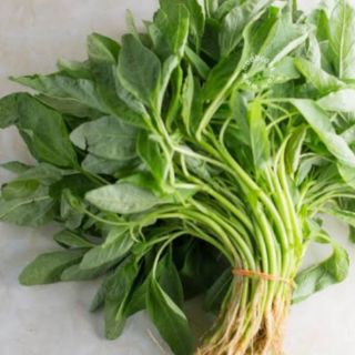 Chinese Spinach kulitis 150 seeds | Shopee Philippines