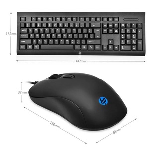 EasyPC | HP KM100 USB Keyboard and Mouse | Shopee Philippines