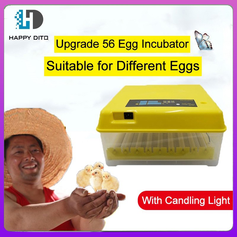 220V 112/56 Eggs Incubator Digital Automatic Egg Incubator Fully ... 220V 112/56 Eggs Incubator Digital Automatic Egg Incubator Fully ...