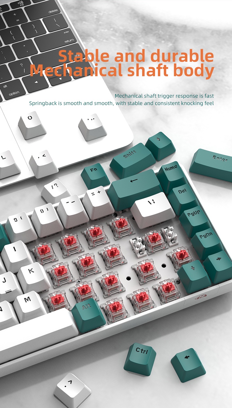 ZIYOULANG T8 RGB 68 Keys Mechanical Keyboard Type-C Wired Gaming ...