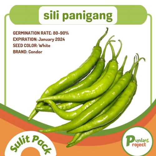 SILI PANIGANG 60pcs Hybrid Pepper Panigang Best F1 vegetable repacked ...