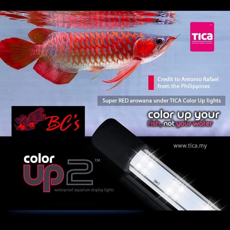 Tica Color up 2 LEDLIGHT (for 5ft you have to choose XDE COURIER ...