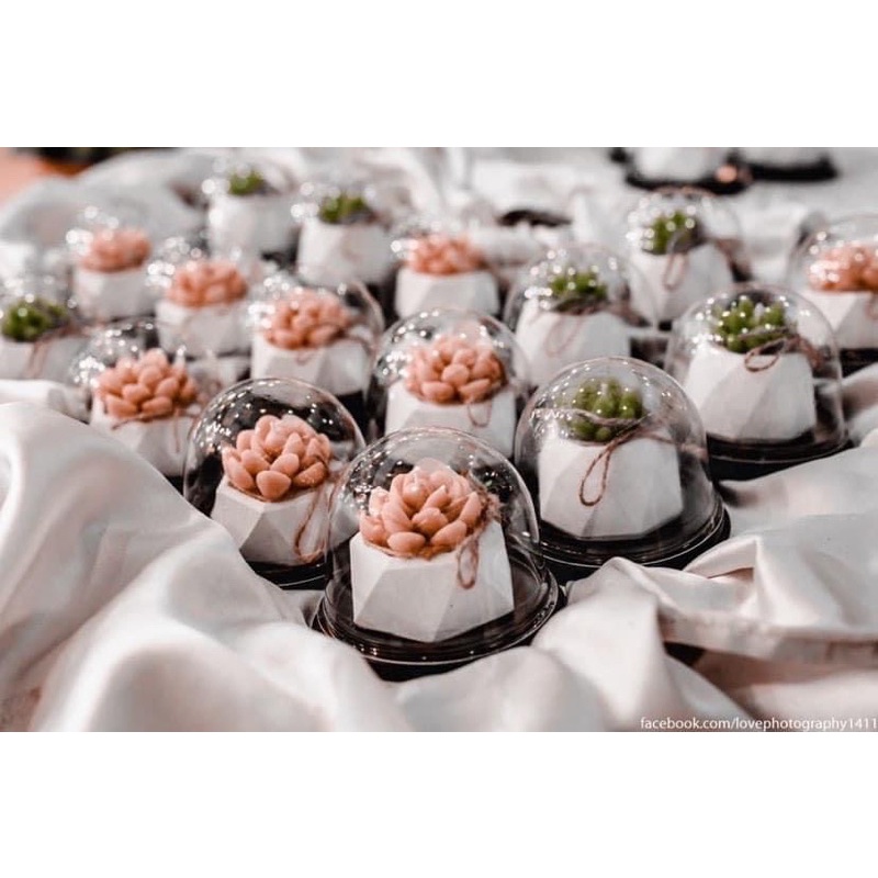 Potted candle succulent - Rose Cabbage(souvenir) | Shopee Philippines