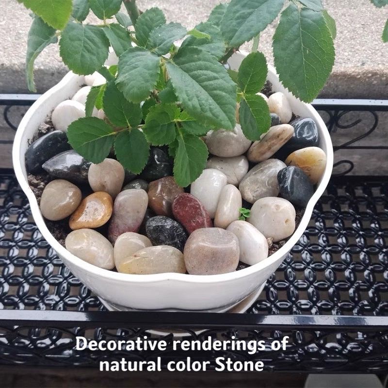 White marble stone/pebbles stone(1kg) | Shopee Philippines