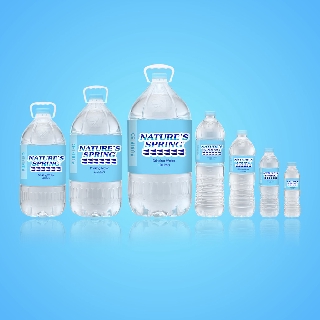 Nature's Spring Purified Water 1 Liter | Shopee Philippines