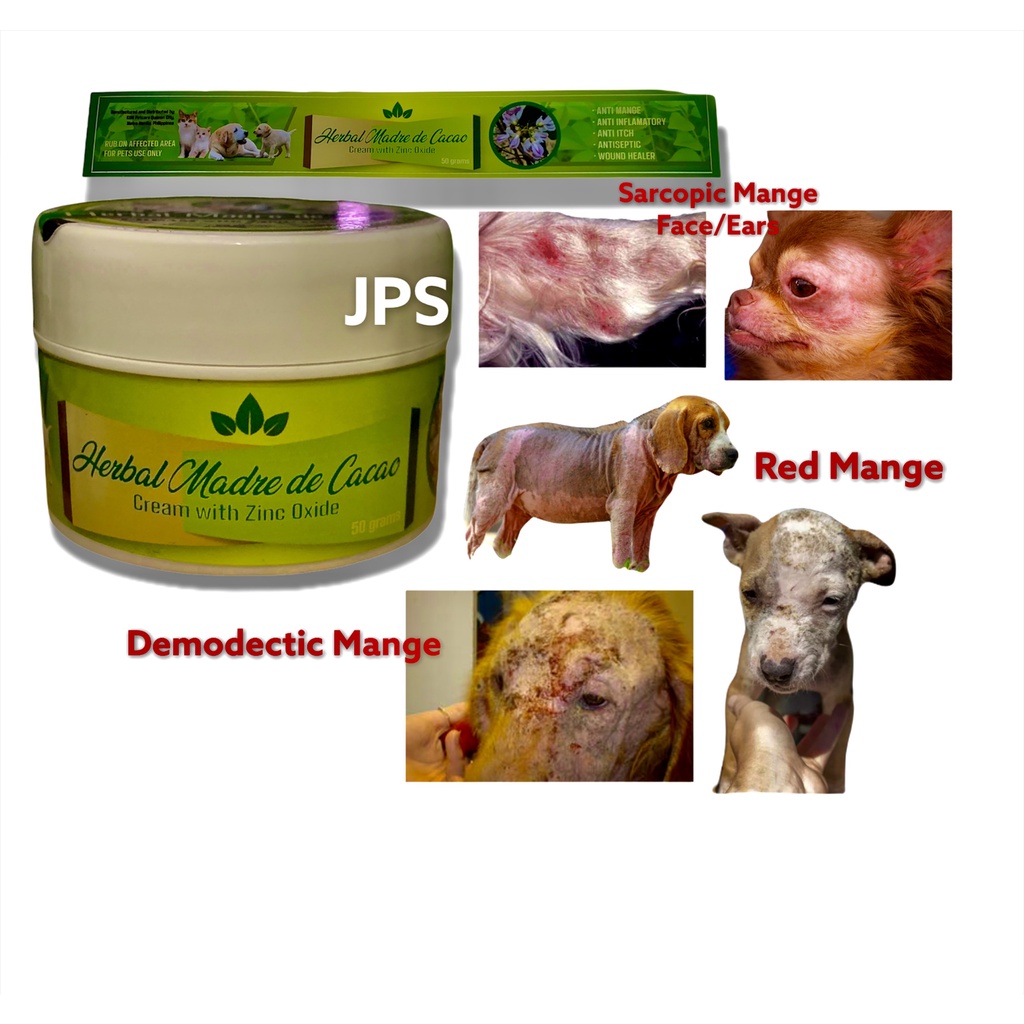 MADRE DE CACAO TOPICAL HEALING OINTMENT CREAM ANTI BACTERIAL, MANGE ...