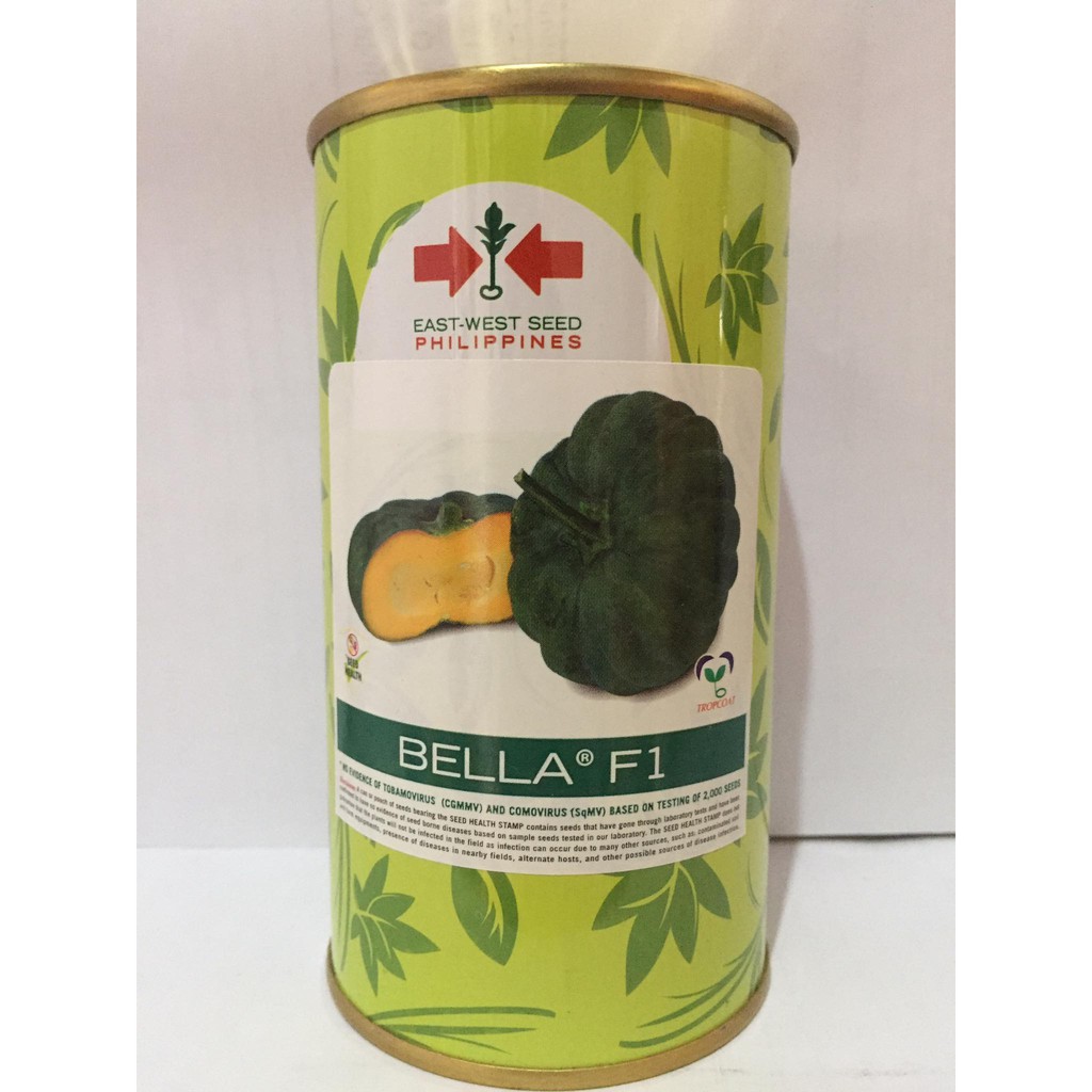 Kalabasa (Squash) Bella F1 East West seeds 100gms | Shopee Philippines