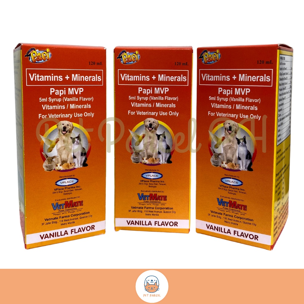 Papi MVP Syrup (FREE SYRINGE!) Multivitamins + Minerals for Dogs and ...