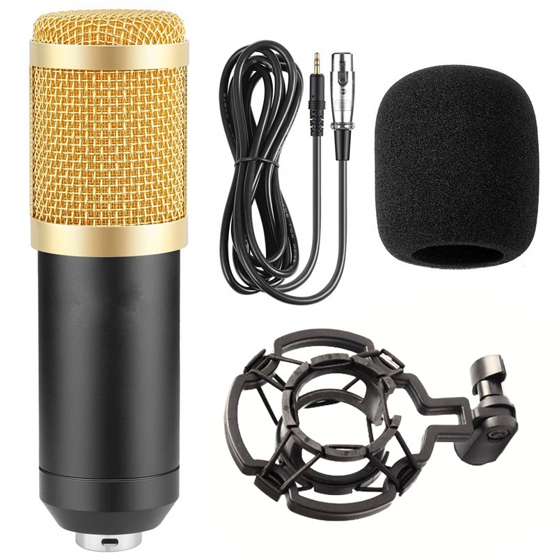 ESN BM-800 Dynamic Condenser Sound Recording Microphone | Shopee ...