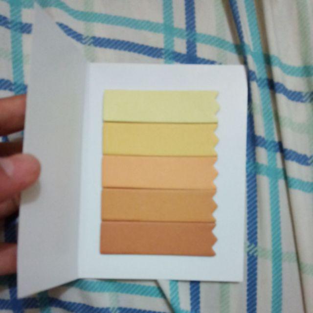 Gradient Pantone Color sticky notes bookmarker | Shopee Philippines