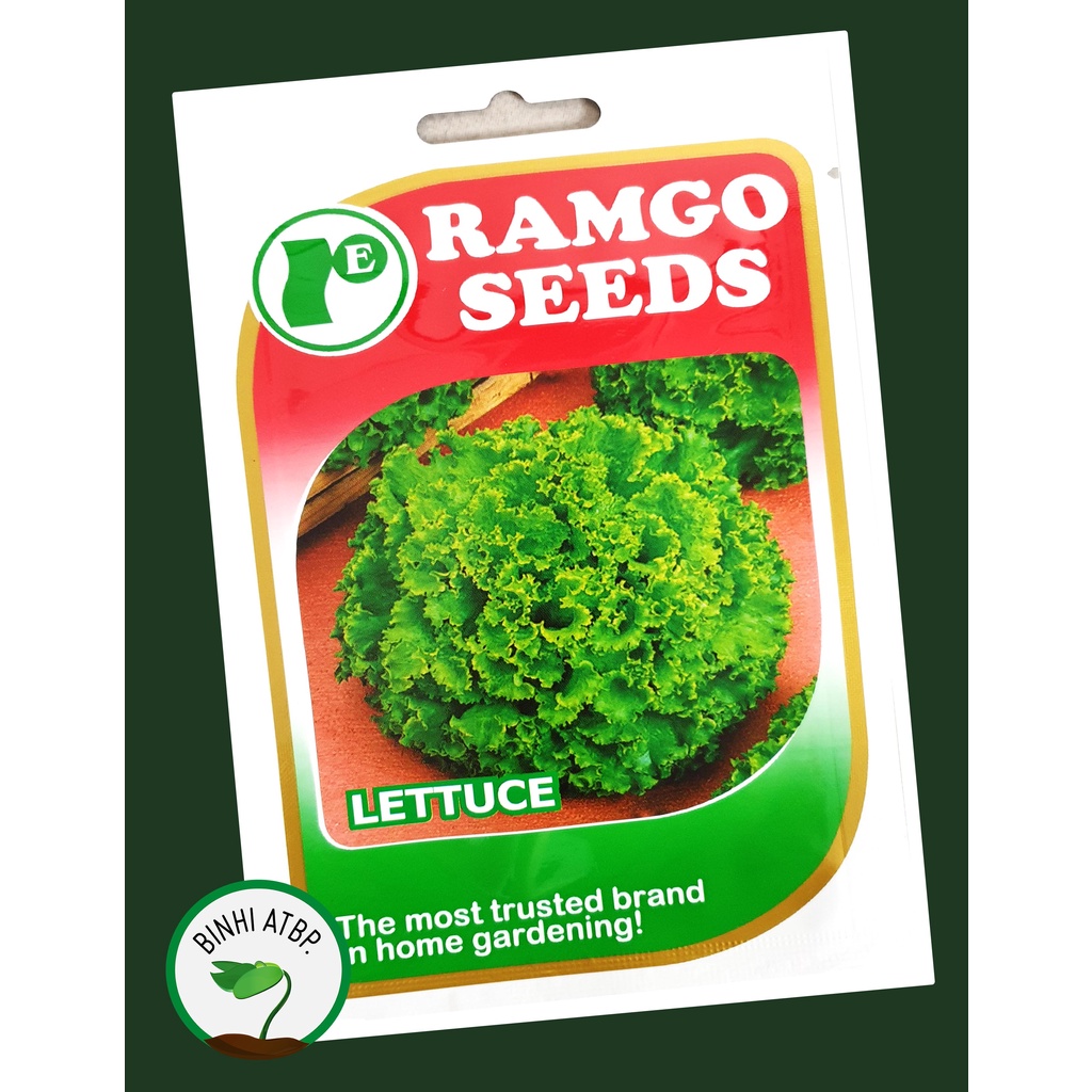Ramgo Lettuce Lollo Bionda Seeds | Shopee Philippines