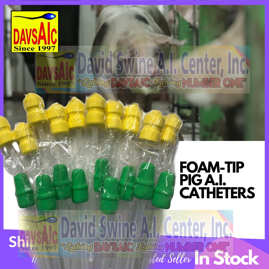 10 pcs Artificial Insemination Catheter for pigs foam tip catheter for ...