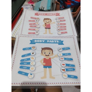 Parts of the Body Chart (Velcro Chart) | Shopee Philippines
