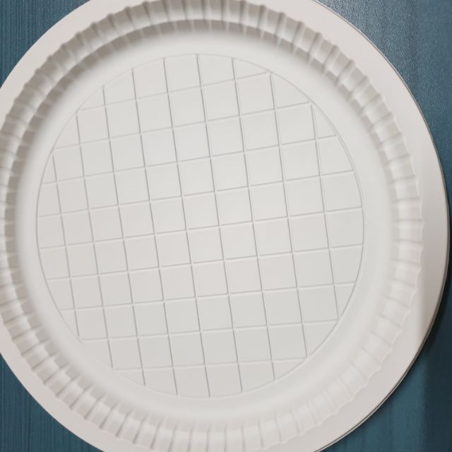 Starch Plate ( ROUND ) | Shopee Philippines