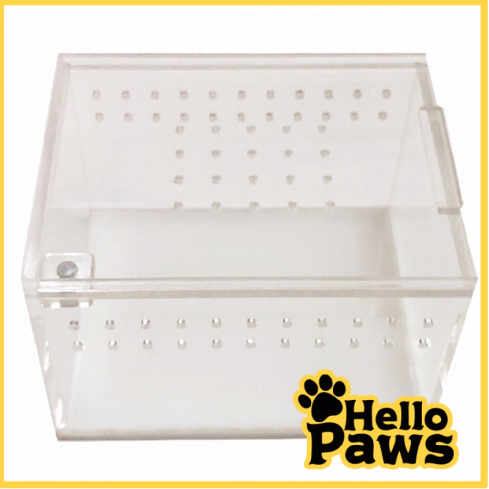 Hello Paws Acrylic Pet Cage Box with Air Holes for Reptile Amphibian ...